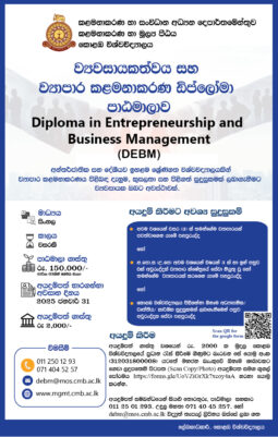 Diploma in Entrepreneurship and Business Management (DEBM) | Faculty of ...